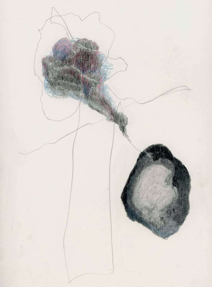 DESSINANTENNAINTERNET | MARIA CLARK